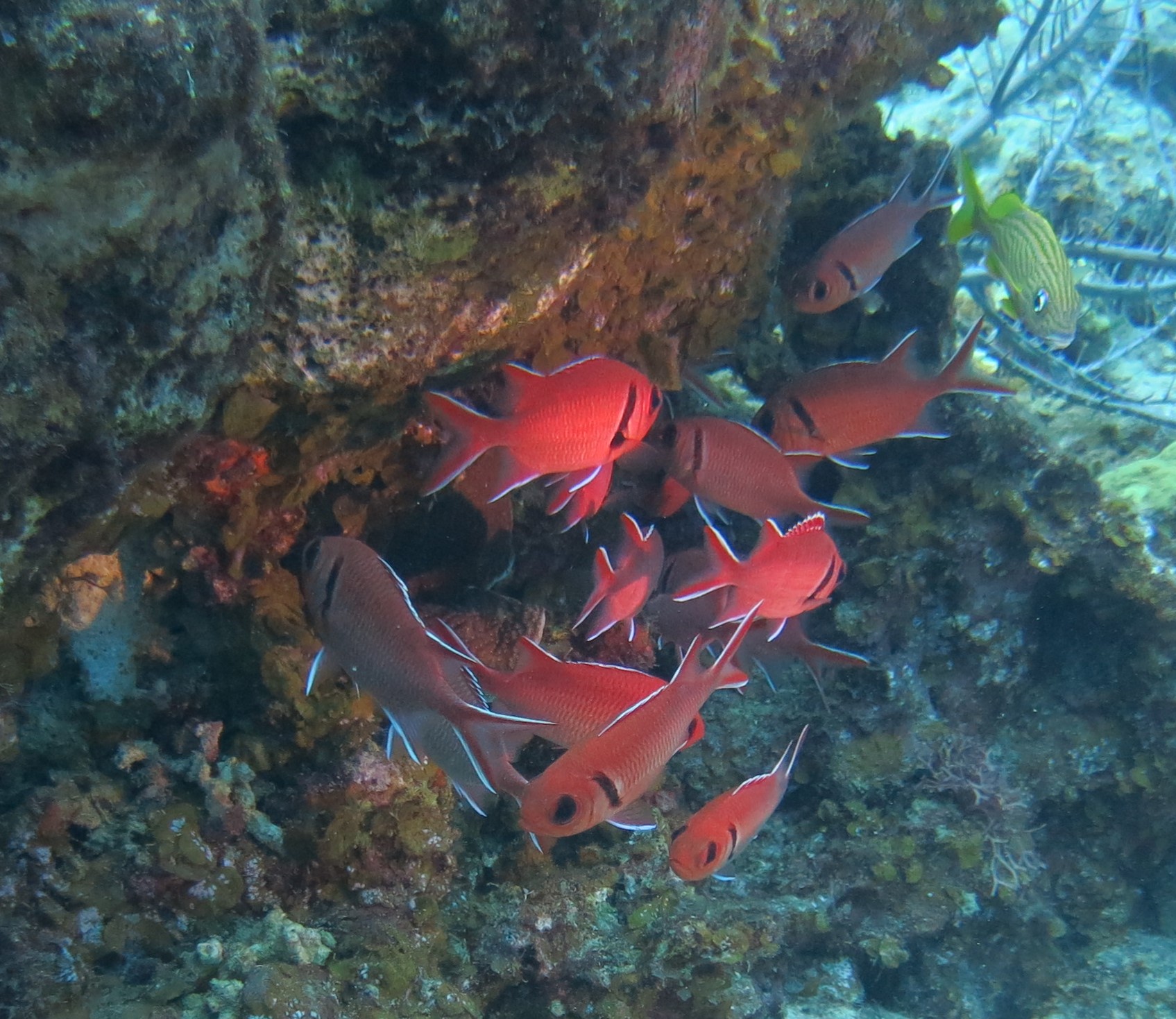 It Just Got Real - VerMonsterRV